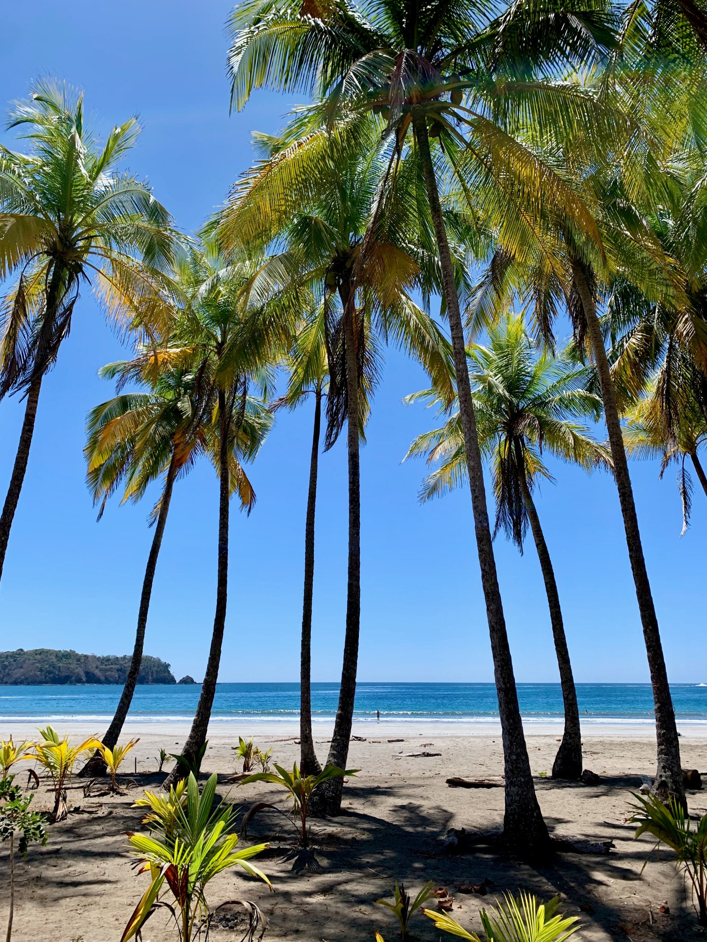 Solo in Sámara: Surf Lessons, Crocodiles, and the Realities of Pura ...
